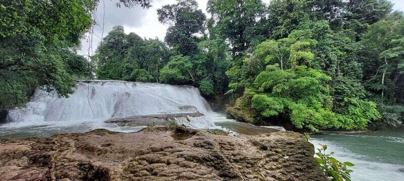 From Palenque: Roberto Barrios and El Salto Waterfalls Tour - An In-Depth Look at the Waterfalls and Itinerary