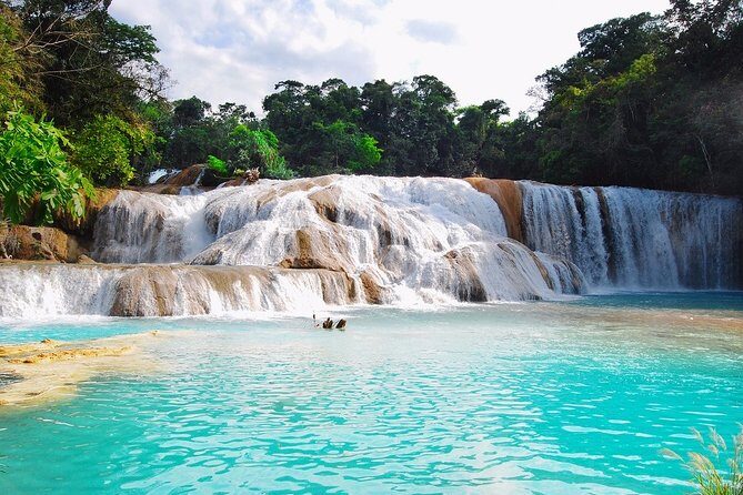 From Palenque to Zona Arq. De Palenque, Misol Ha and Agua Azul - Key Points