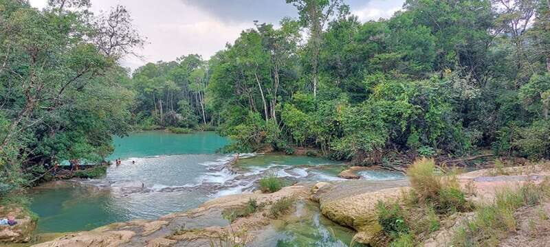 From Palenque: Tour of the Roberto Barrios Waterfalls - What to Expect from the Tour