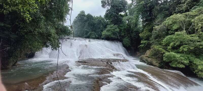 From Palenque: Tour of the Roberto Barrios Waterfalls - The Value of This Tour