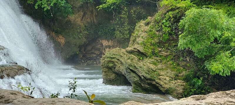 From Palenque: Tour of the Roberto Barrios Waterfalls - Who Should Consider This Tour?