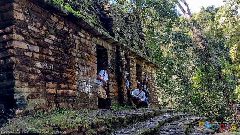 From Palenque: Yaxchilán and Bonampak Tour - A Comprehensive Look at the Yaxchilán and Bonampak Tour