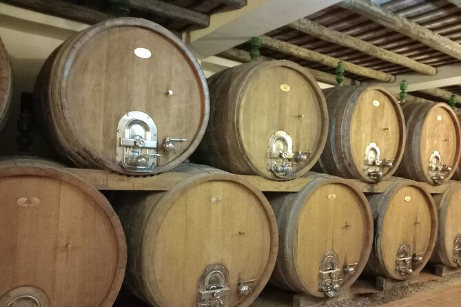 From Palermo Sicilian Retreat Erice & Marsala Tour With Lunch - The Captivating Salt Pans of Marsala