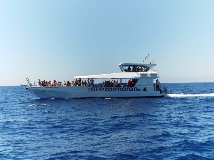 From Palma: 3-Hour Morning Dolphin Watching Boat Tour - An Honest Look at the Experience
