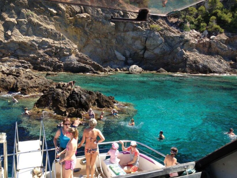 From Palma: 3-Hour Morning Dolphin Watching Boat Tour - Logistics and Practicalities