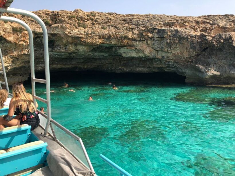 From Palma: 3-Hour Morning Dolphin Watching Boat Tour - Authentic, Unscripted Encounters