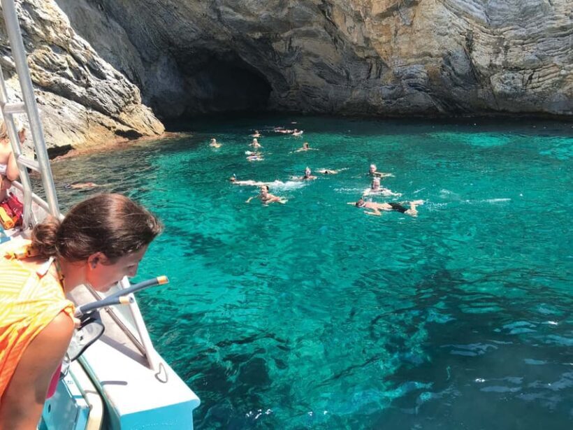 From Palma: Afternoon Dolphin-Watching Boat Tour - Introduction