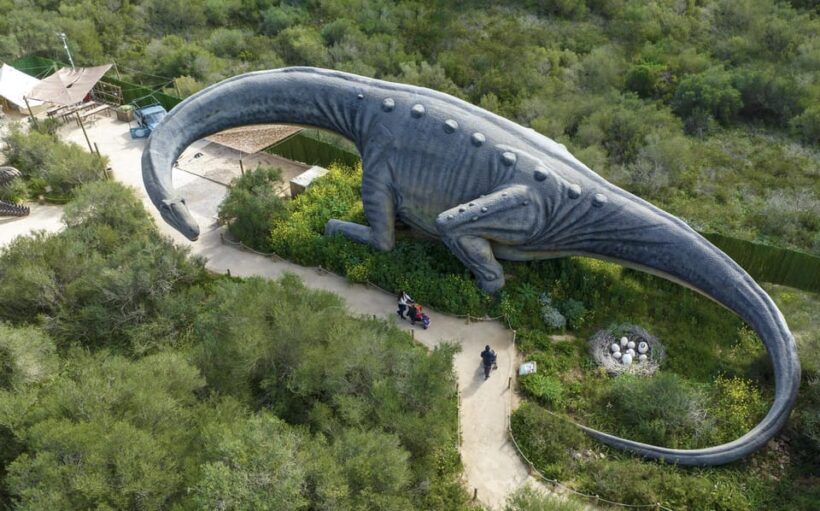 From Palma de Mallorca: Dinosaurland tour - A Closer Look at the Dinosaurland Tour