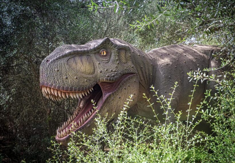 From Palma de Mallorca: Dinosaurland tour - The Sum Up