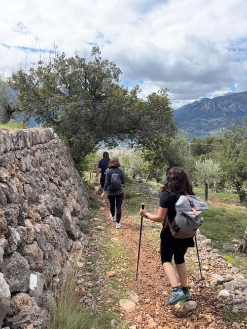 From Palma: Sierra de Tramuntana Hiking with small Picnic - Key Points