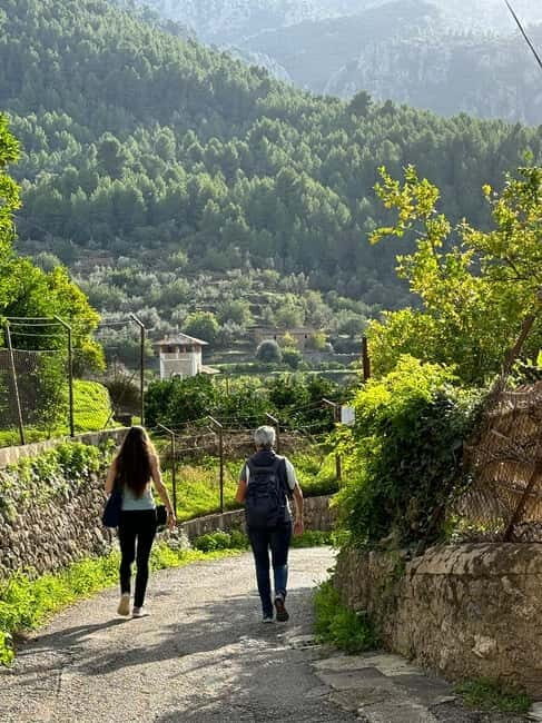 From Palma: Sierra de Tramuntana Hiking with small Picnic - Who Is This Tour Best For?