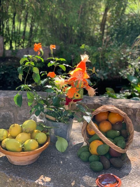 From Palma: Soller valley walk and picnic in orange farm - A Picnic with a View—And a Taste of Local Flavors