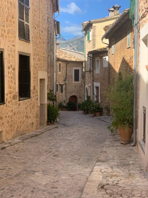 From Palma: Soller valley walk and picnic in orange farm - Transportation, Group Size, and Value