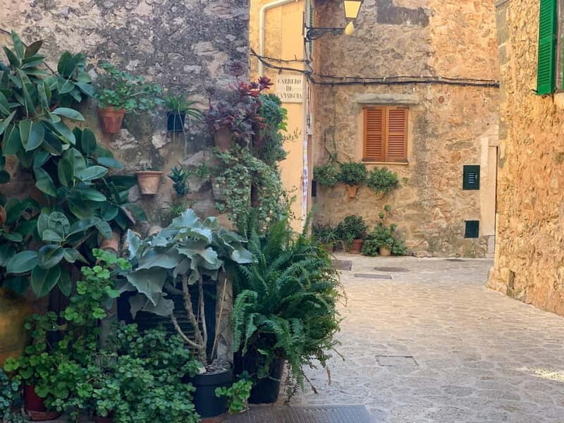 From Palma: Valldemossa Tour and Mountain Viewpoint Hike - A Deep Dive into the Experience