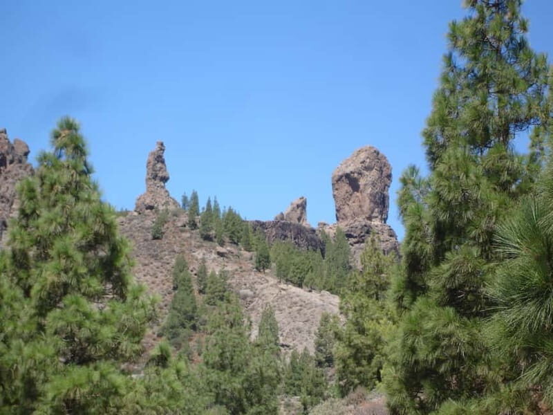 From Palmas: Pico de las Nieves & Roque Nublo Full-Day Trip - Key Points