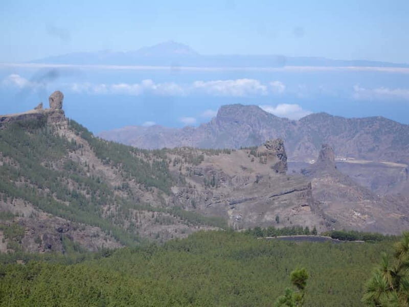From Palmas: Pico de las Nieves & Roque Nublo Full-Day Trip - What Do Travelers Say?