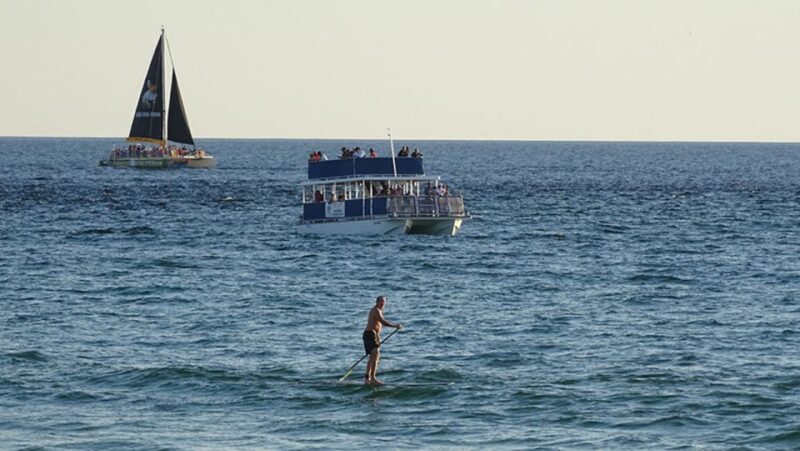 From Panama City, FL: Shell Island Ferry - Reviews and Real Traveler Insights