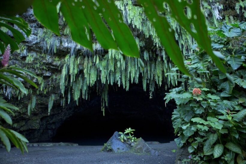From Papeete: Tahiti Highlights Full-Day Private Tour - What to Expect: A Day Exploring Tahiti’s Best