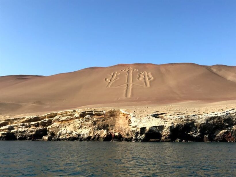 From Paracas: Ballestas Island Cruise & Paracas Reserve Tour - Key Points