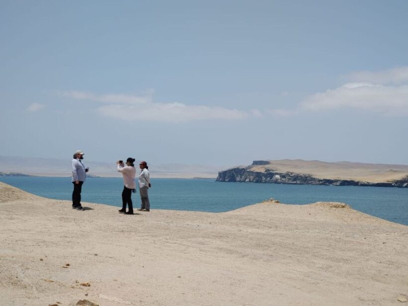 From Paracas: Ballestas Island Cruise & Paracas Reserve Tour - Exploring the Marine Life: Ballestas Islands