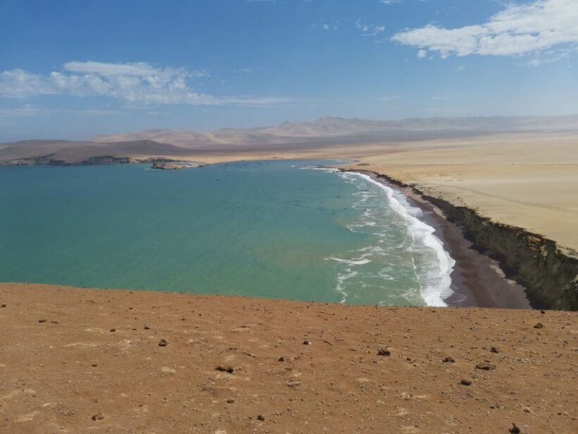 From Paracas: Ballestas Island Cruise & Paracas Reserve Tour - Who Should Consider This Tour?