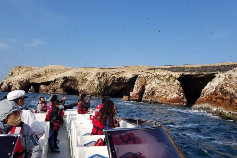 From Paracas: Ballestas Islands & Paracas National Reserve - Who Will Love This Tour?
