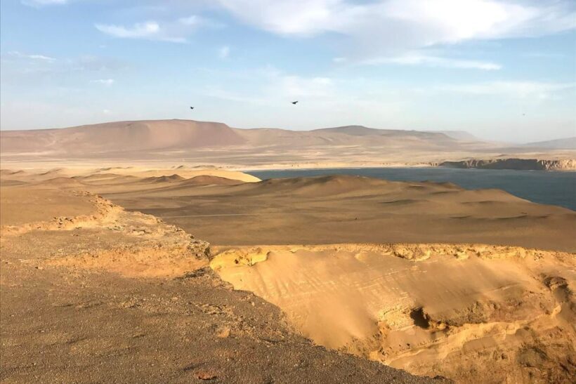 From Paracas: Ballestas Islands & Paracas National Reserve - Final Thoughts