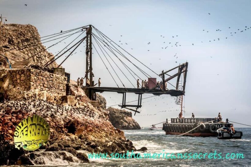 From Paracas: Ballestas Islands tour all Inclusive - Introduction