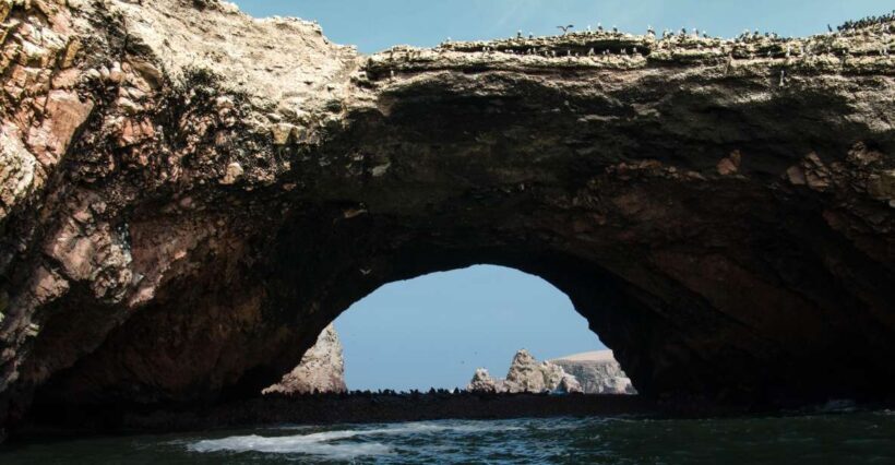 From Paracas: Ballestas Islands tour all Inclusive - Key Points