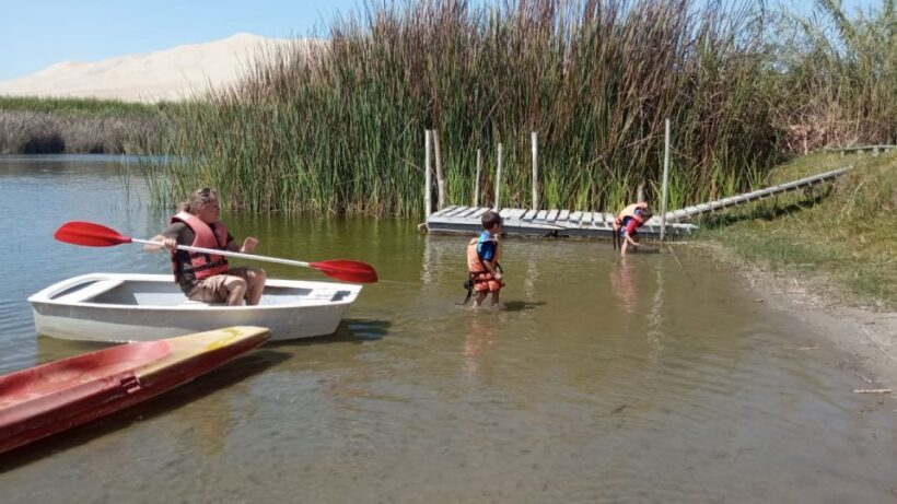 From Paracas: Mini Buggy Tour & Sandboarding at Oasis - What to Expect on the Tour