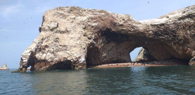 From Paracas or Pisco: Ballestas Islands Private Boat Trip - A Detailed Look at the Experience