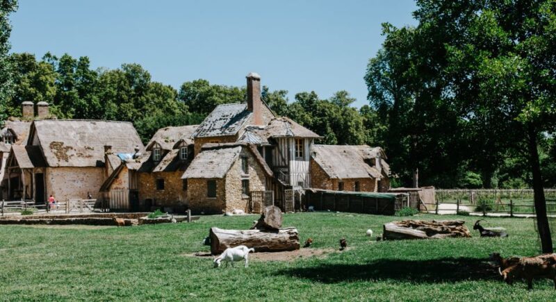 From Paris: Bike Tour to Versailles with Timed Palace Entry - Key Points