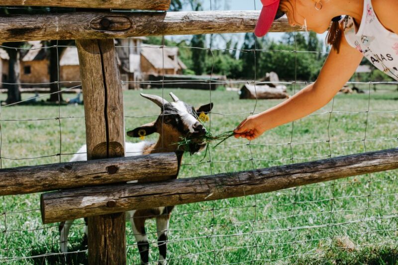 From Paris: Bike Tour to Versailles with Timed Palace Entry - Value for Money