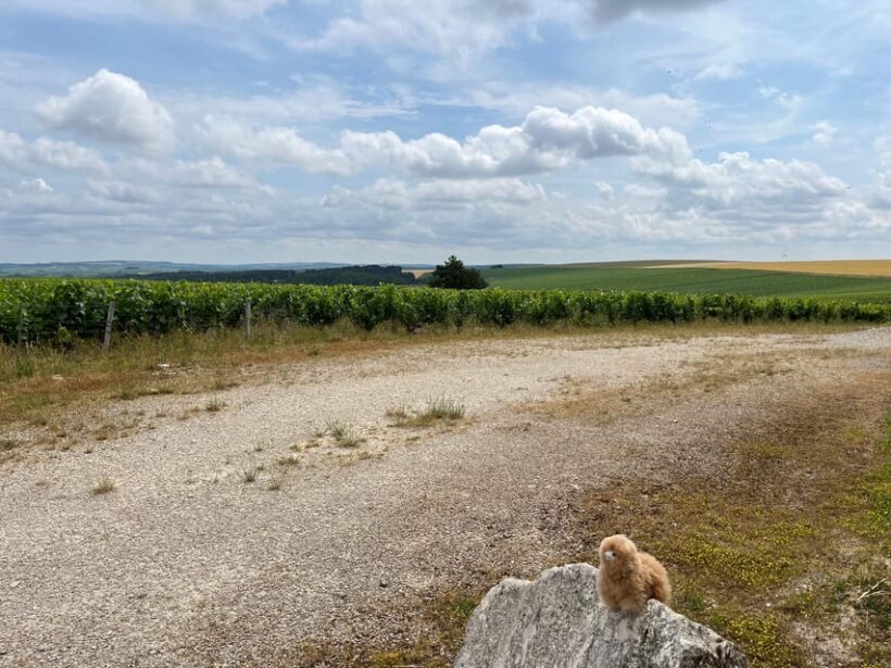 From Paris: Burgundy Chablis Wine & Cheese Tasting Day Trip - Exploring Burgundy’s Winemaking Heritage: A Practical Breakdown