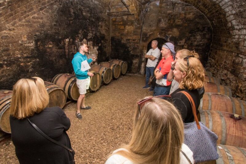 From Paris: Burgundy Region Winery Tour with Tastings - Key Points
