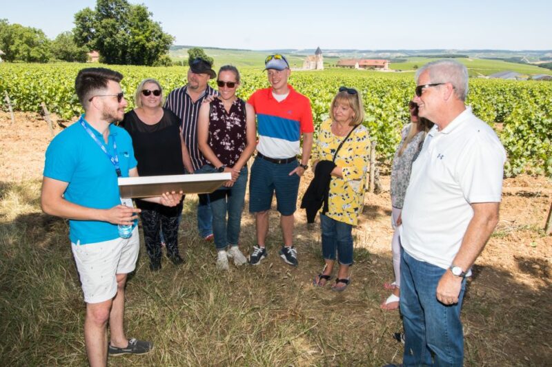 From Paris: Burgundy Region Winery Tour with Tastings - The Itinerary—A Day of Discovery