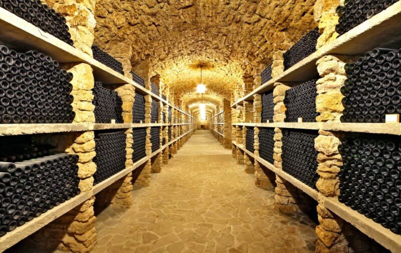 From Paris: Burgundy Region Winery Tour with Tastings - Practical Details and Considerations
