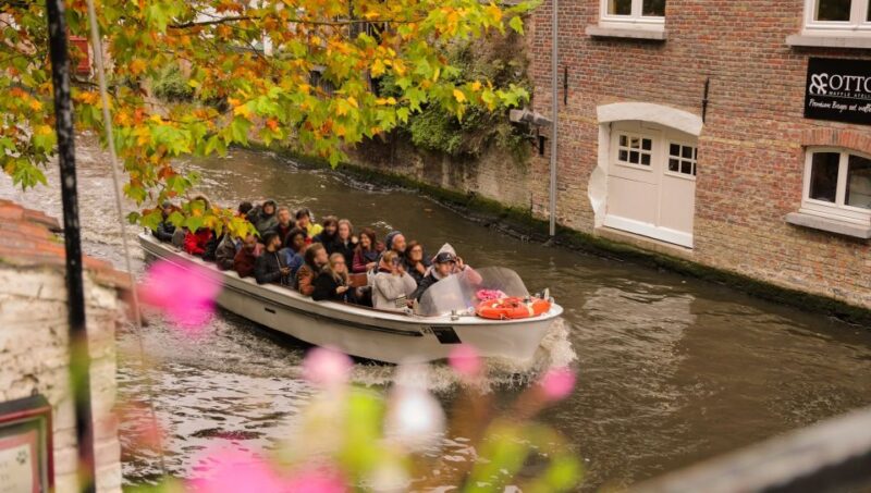 From Paris: Day Trip to Bruges with Optional Seasonal Cruise - What We Think About the Price and Value