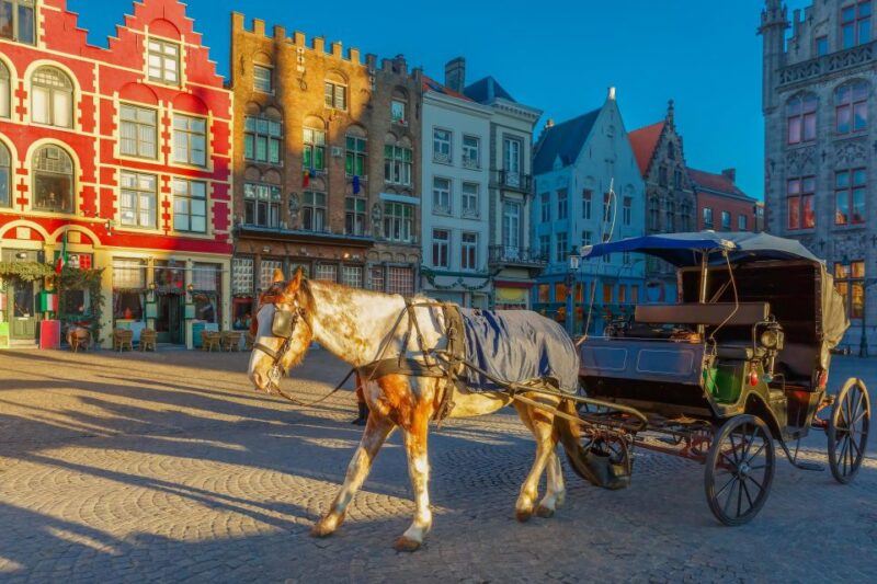 From Paris: Day Trip to Bruges with Optional Seasonal Cruise - Who Is This Tour Best For?