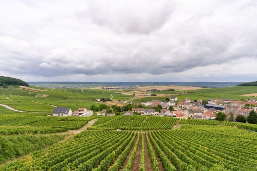 From Paris: Day Trip to Champagne with 8 Tastings & Lunch - FAQ