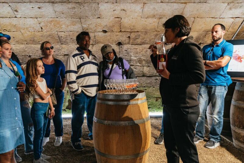From Paris: Loire Valley Castles Day Trip With Wine Tasting - An In-Depth Look at the Loire Valley Castles Day Trip
