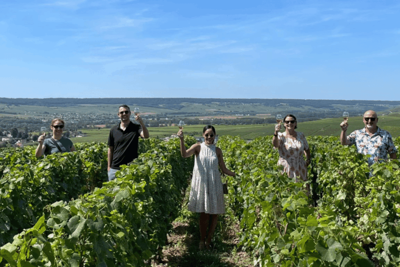 From Paris: Loire Valley Chambord Castle and Wine Tasting - Key Points