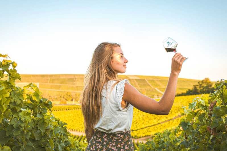 From Paris: Private Sancerre Wine Tour w 10 Tastings & Lunch - Key Points