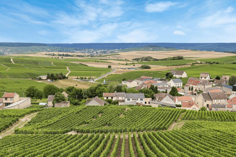 From Paris: Private Sancerre Wine Tour w 10 Tastings & Lunch - FAQs