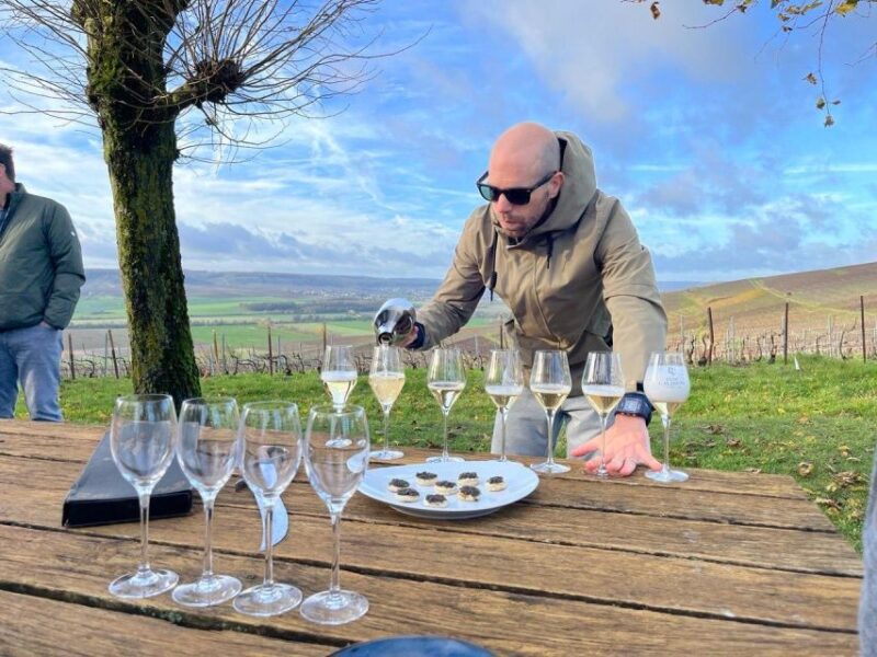 From Paris: Reims and Champagne Tasting Full-Day Tour - Who Will Love This Tour?