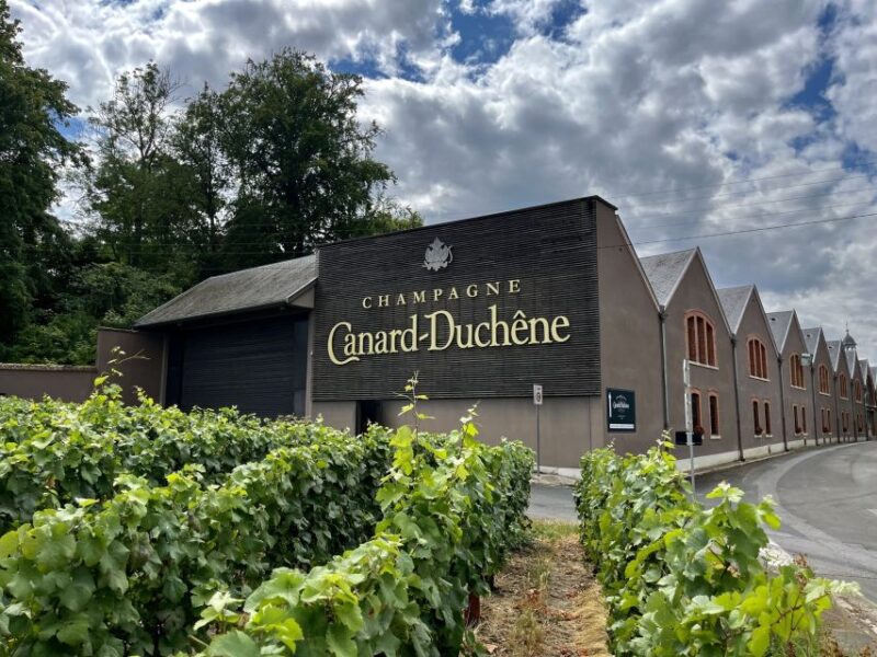 From Paris: Reims and Champagne Tasting Full-Day Tour - Final Considerations