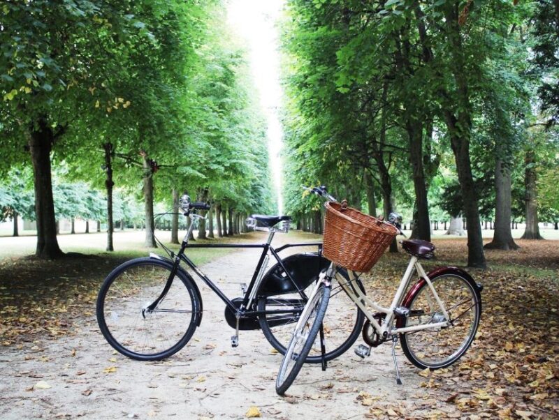 From Paris: Skip-the-Line Palace of Versailles Bike Tour - The Bottom Line: Who Should Consider This Tour?