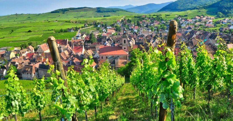 From Paris: Small-Group Champagne Day Trip with Six Tastings - What Travelers Say: Authentic Feedback