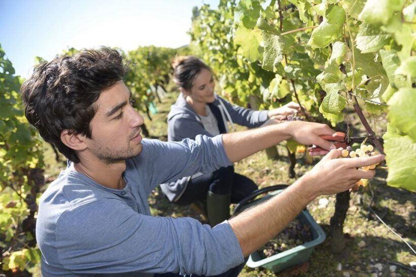 From Paris: Small-Group Champagne Day Trip with Six Tastings - Who Will Love This Tour?