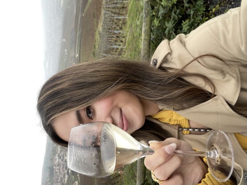 From Paris: Small-Group Champagne Tour with 3-Course Lunch - The Sum Up